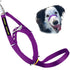 Buy Canny Collar | Best Dog Head Collar For Leash Pulling – CannyCo America